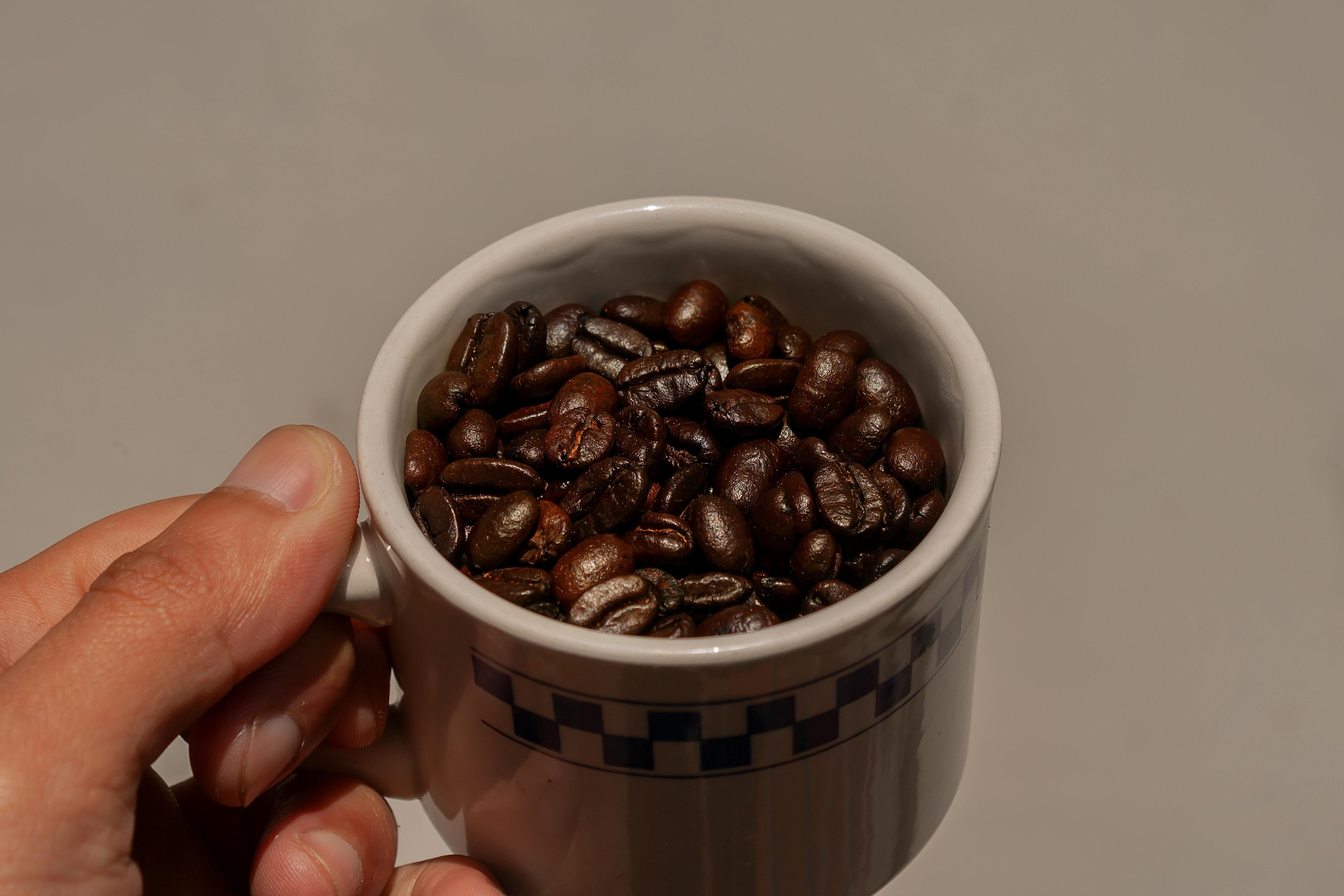 The Secret Behind Air-Roasted Beans That Coffee Lovers Swear By ...