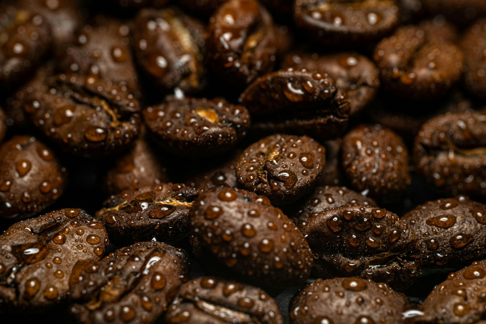 Why Your Coffee Tastes Burnt (And How Air-Roasting Fixes It) – SOLUDE ...