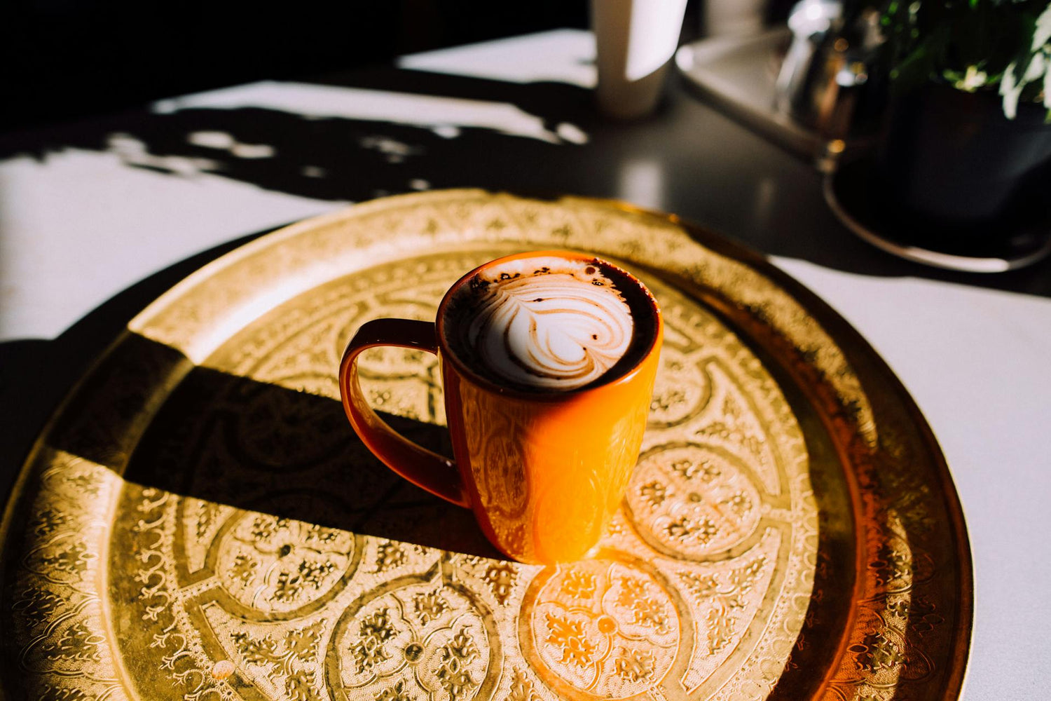 The Quiet Reason Coffee Shops Smell Better Than Your Kitchen – SOLUDE ...