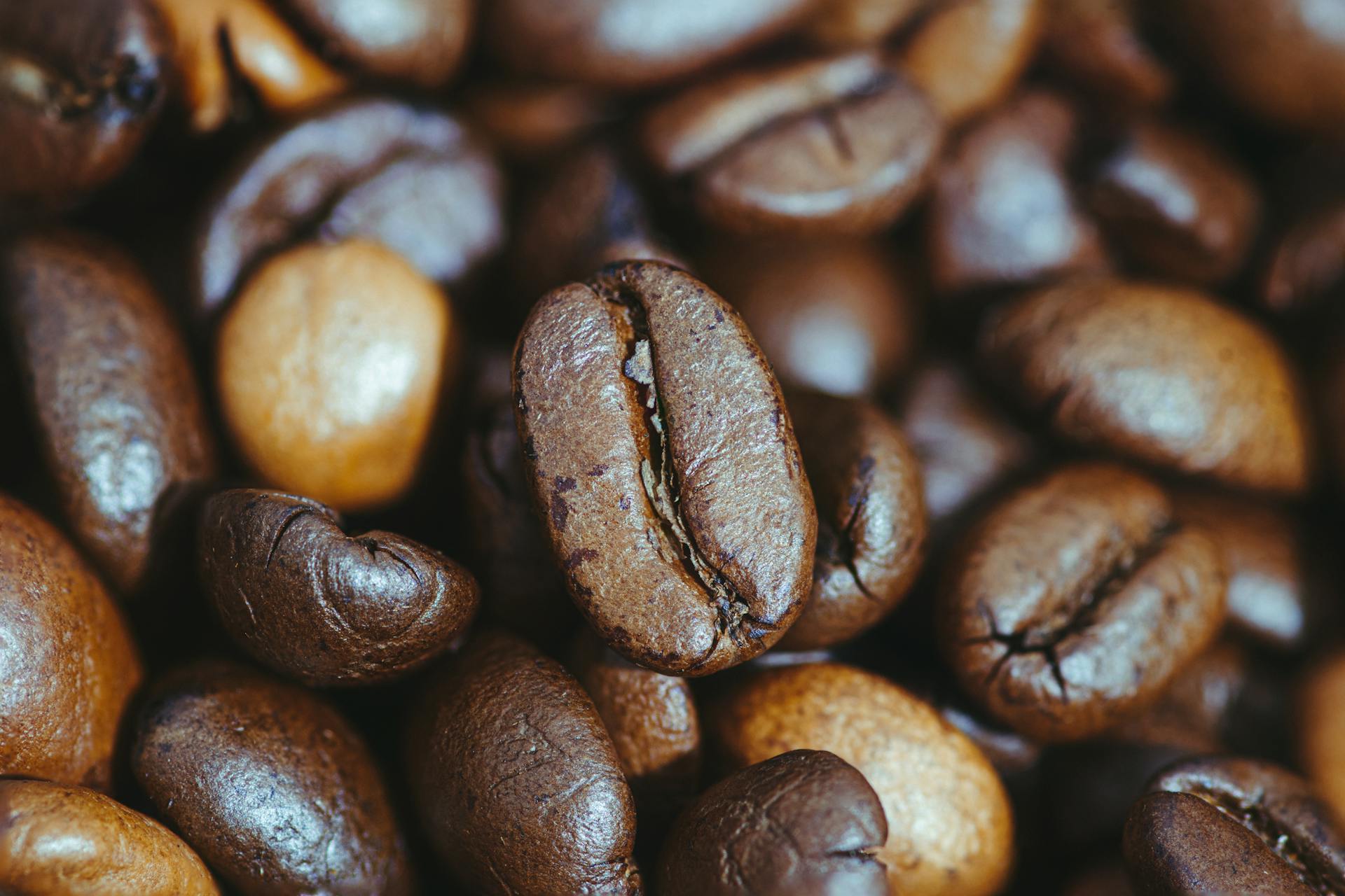 Air Roasting: The Quiet Upgrade That’s Changing Coffee Forever – SOLUDE ...