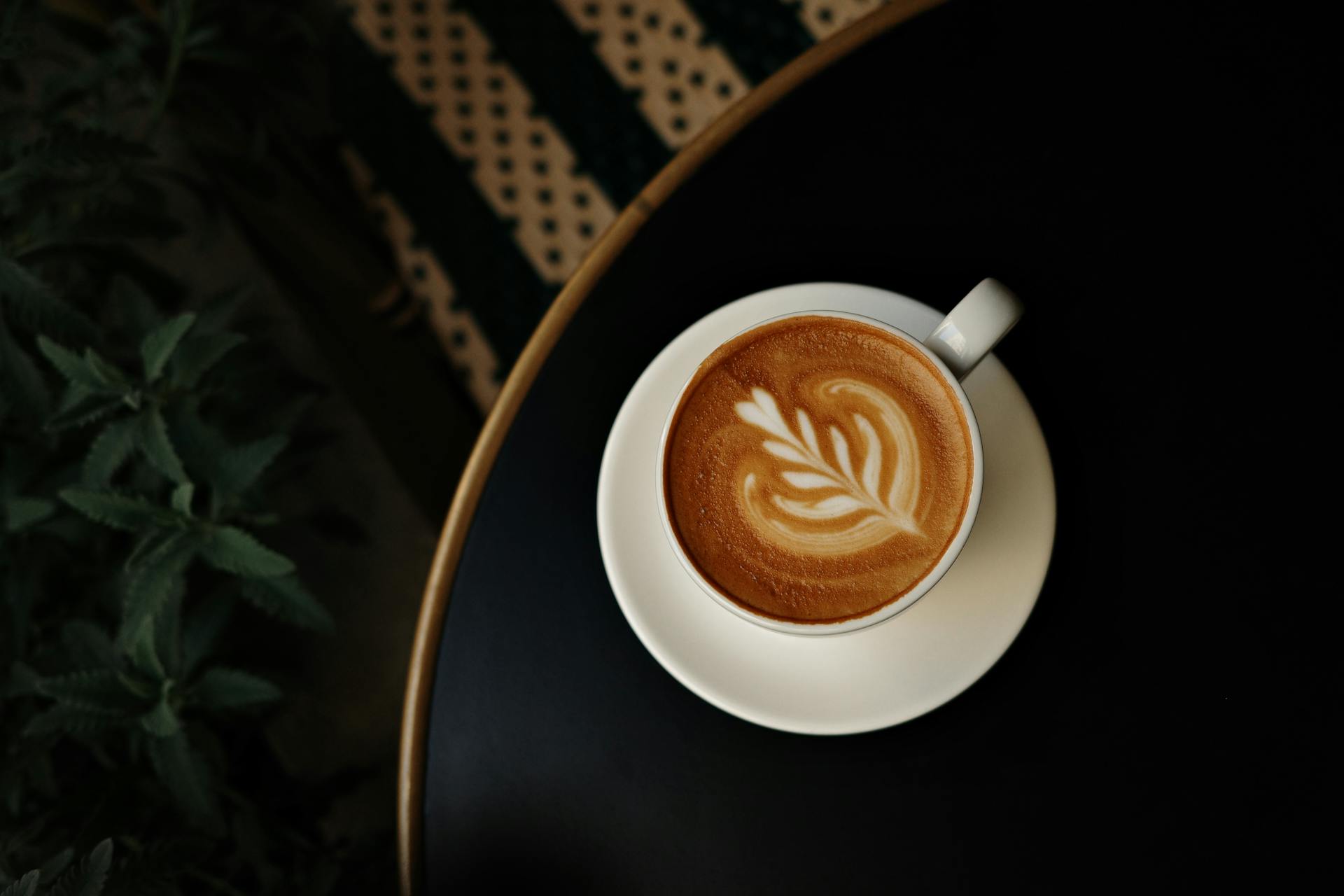 The Craziest Coffee Orders That Actually Taste Good – SOLUDE Coffee