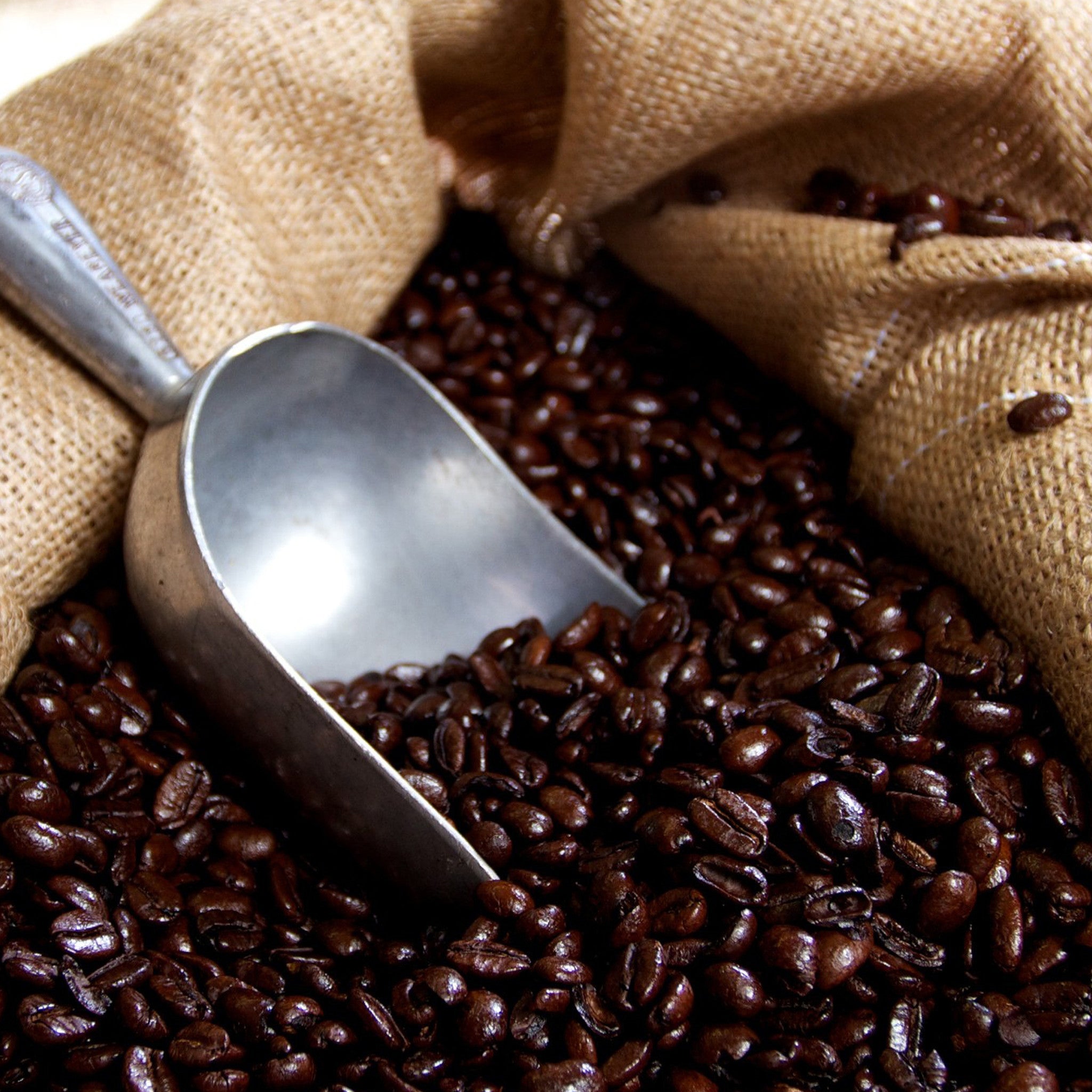 Specialty Coffees – SOLUDE Coffee